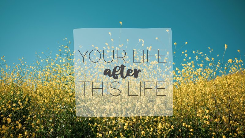 Replayt-Your Life After This Life | Anchor Bible Church