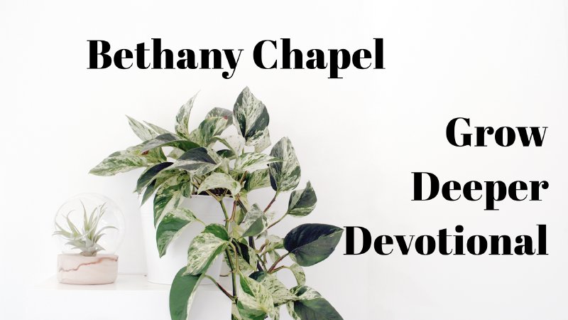 BCCC Weekly Devotional #31 - Psalm 9 | Bethany Chapel