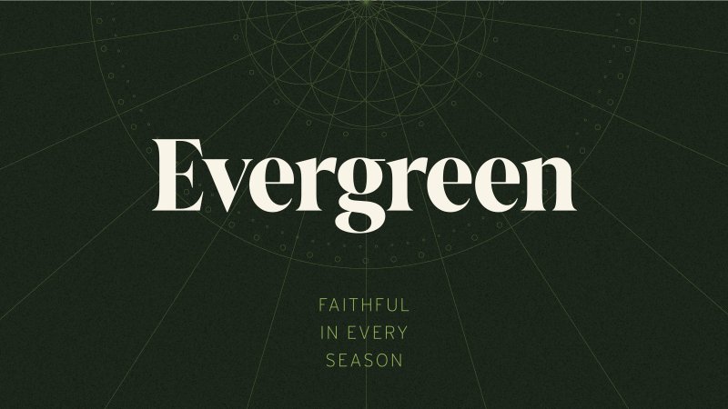 Evergreen: Together | The Grove