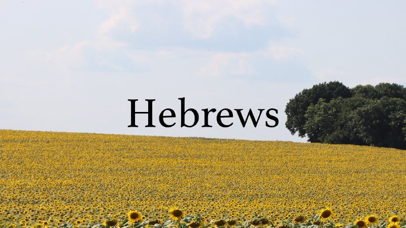 "Your Heavenly High Priest" | Independent Presbyterian Church