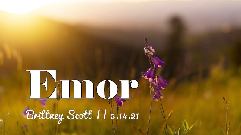 Emor 2022 | Manna From Heaven & Remnant of Truth