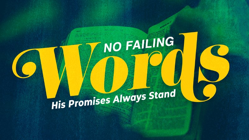 No Failing Words | Azalea City