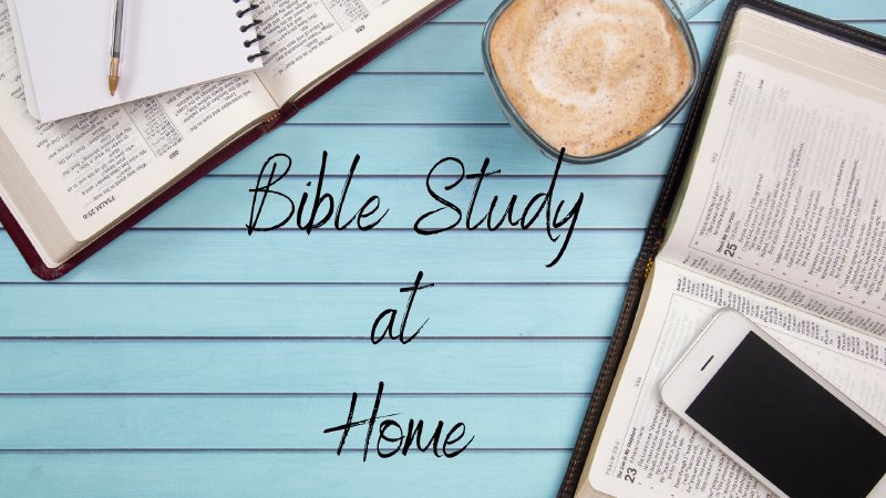 15th Sunday after Pentecost, Lectionary Readings, Bible Study with ...