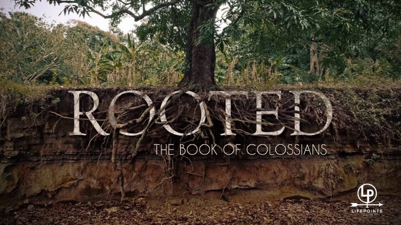 Rooted: A Study of Colossians | LifePointe Christian Church - VA