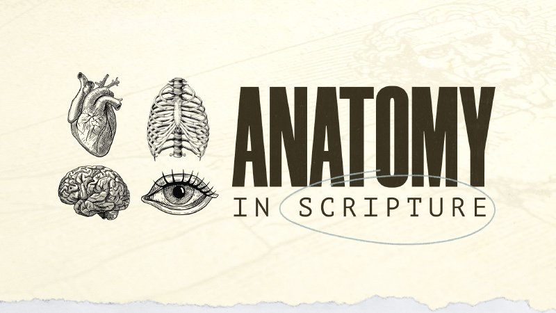 Anatomy In Scripture - Week #5 | Heartland Church of Sun Prairie
