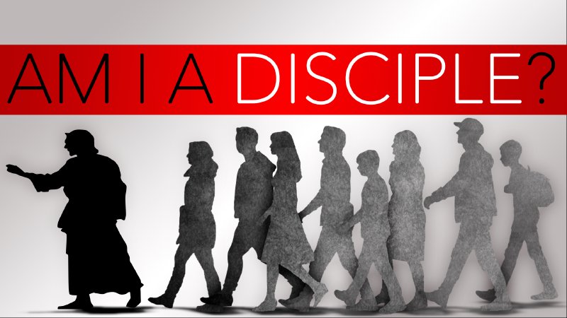 Am I a Disciple? | Alive In Christ Lutheran Church - MO