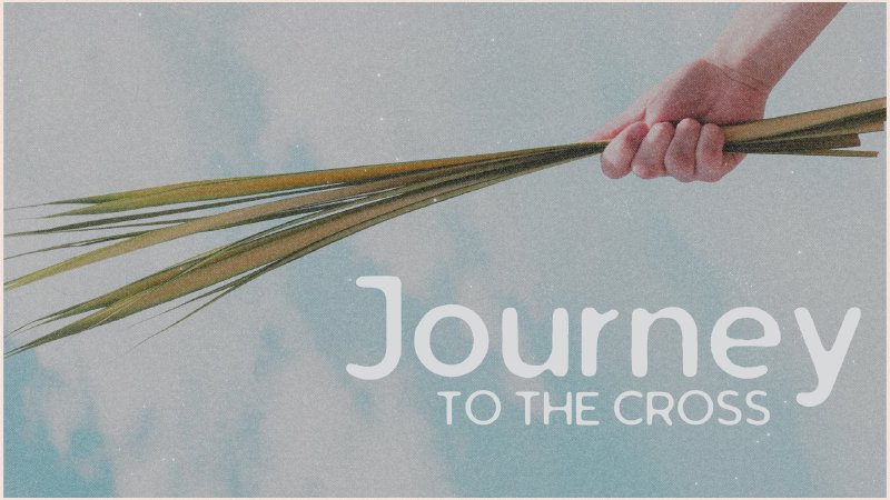 Journey to the Cross - Week 3: The Message of the Cross | Harvester ...