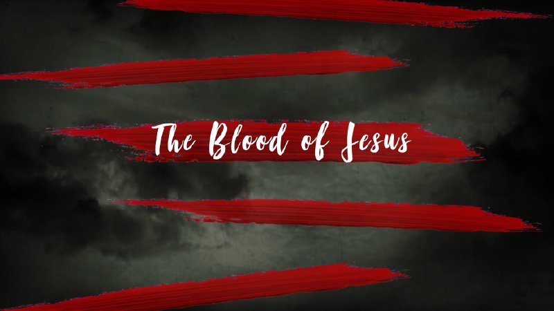 Die Seën & Krag in die Bloed | His Vision Church