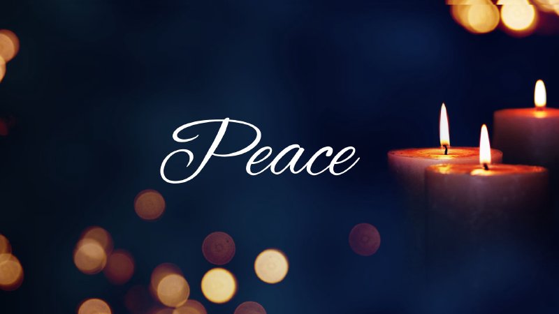 Advent: Peace | Wellspring Worship Center