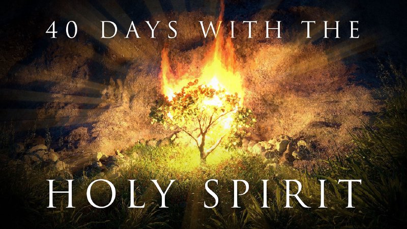 The Holy Spirit Builds You Up | Christ Church - NC