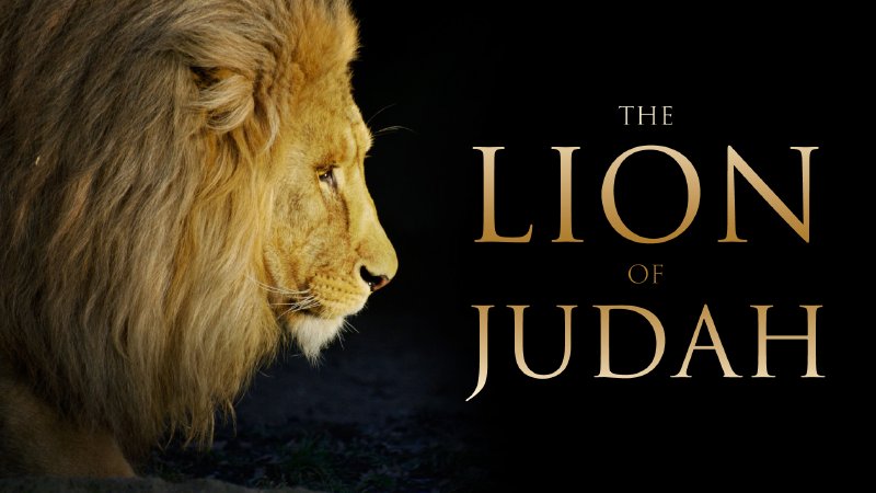 The Lion of Judah | West Houston Church of Christ