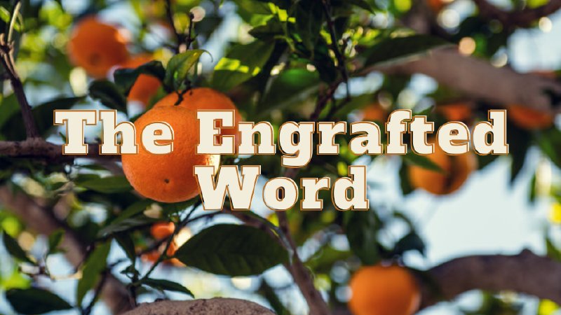 The Engrafted Word | Living Word Church