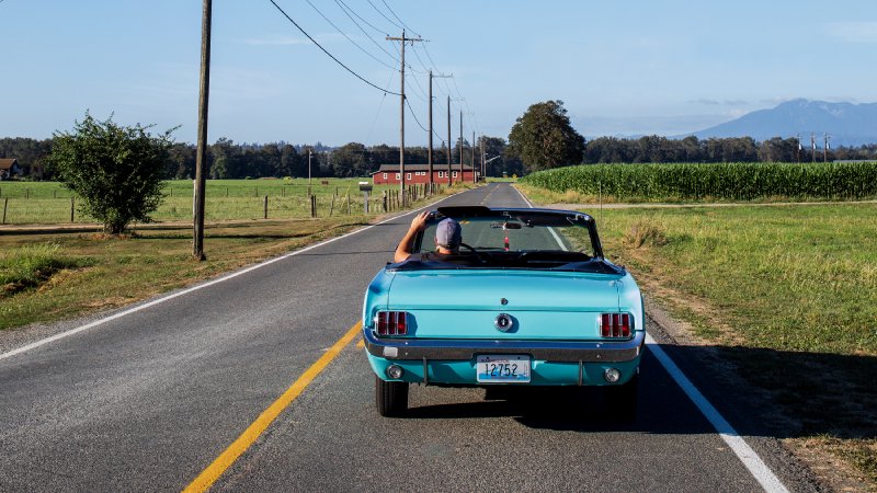 The Promised Messiah King | Christ the King Monroe