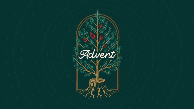 Grace For The Forgotten | Living Stones Churches