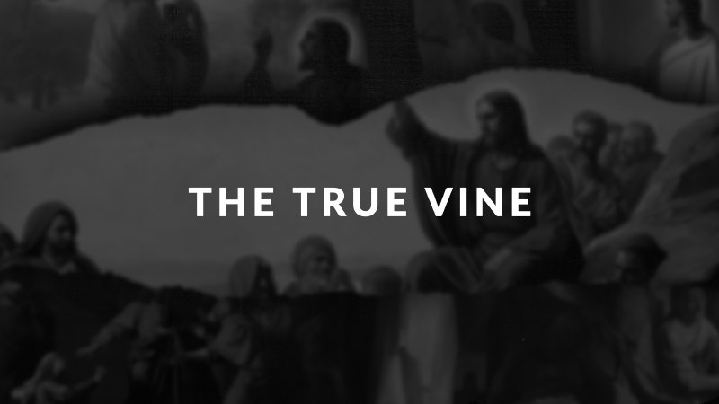 The True Vine | Cornerstone Baptist Church