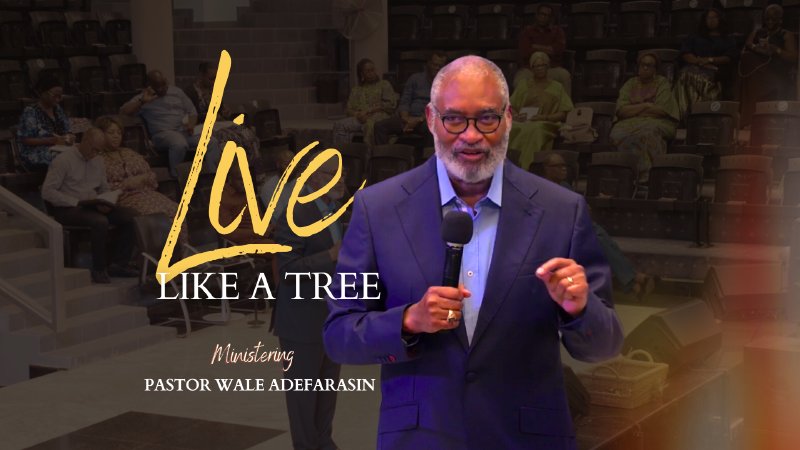 LIVE LIKE A TREE | GLA Lagos (HQ)