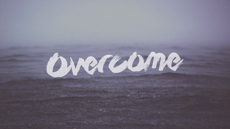 The Pit Perspective | gotocoastal