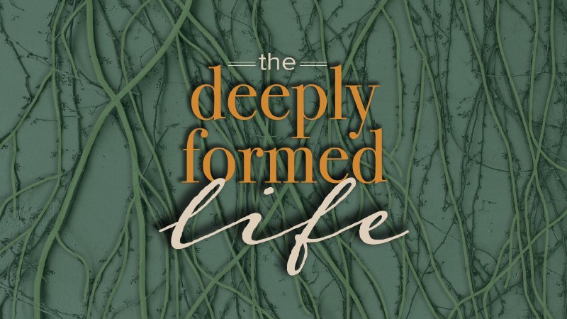 Self-Examination in a Superficial World | Grace Church