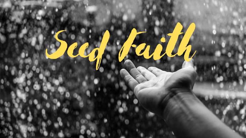 Seed Faith | Christ Community Church of Appling County