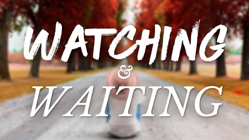 Watching and Waiting | ParkviewNaz