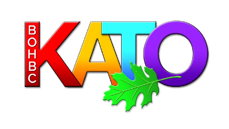 Take Up Your Sword (VBS 2023) | Black Oak Heights Baptist Church