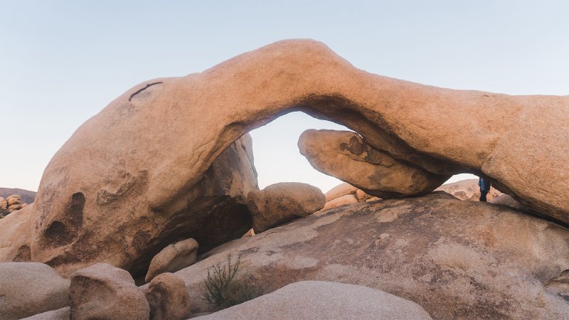 Behold, A Door in the Fence | Freedom Tabernacle