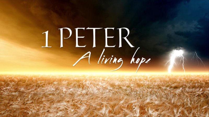 1 Peter 4:12-19, Part 2 | Niagara Frontier Bible Church
