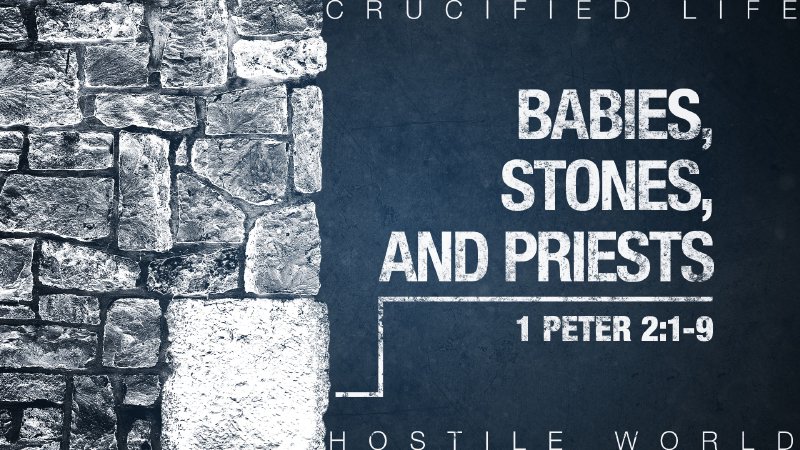 “Babies, Stones, and Priests” - 1 Peter 2:1-9 | Full Sunday Service ...