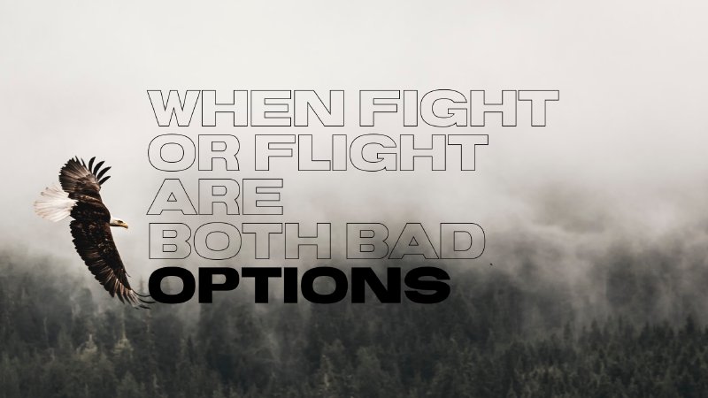 When Fight Or Flight Are Both Bad Options | Solid Rock Church