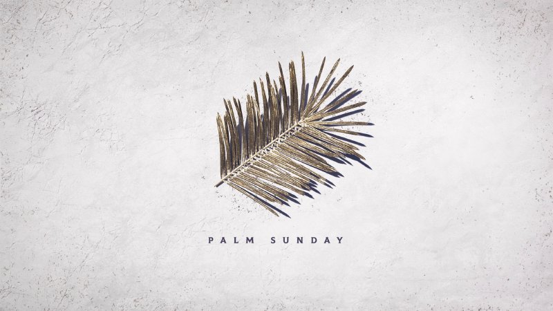 The VIRUS and the CURE: Palm Sunday 2023 | LifePointe Christian Church - VA