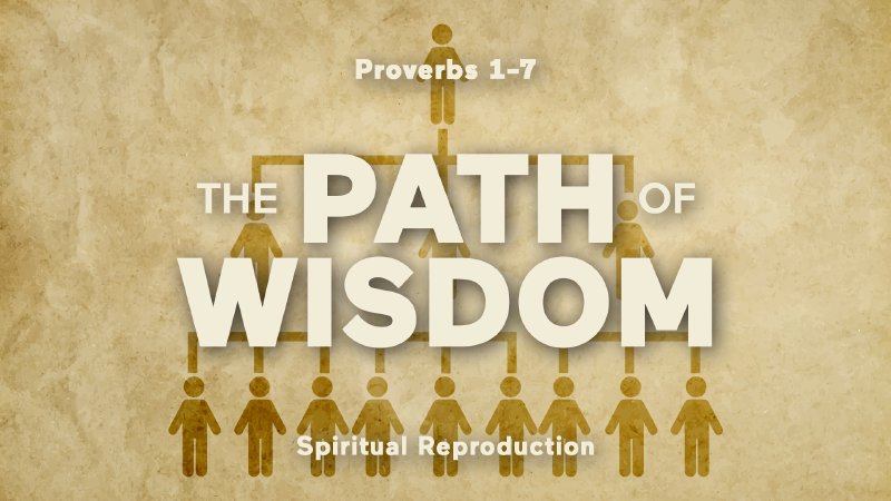 Proverbs 1-7 | The Path of Wisdom: Spiritual Multiplication | Feather ...