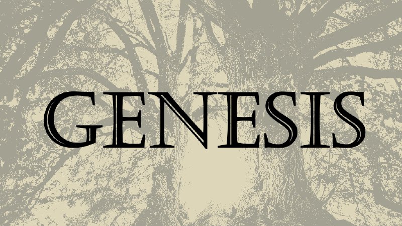 Genesis 4.9-6.8 | Calvary Pico Rivera