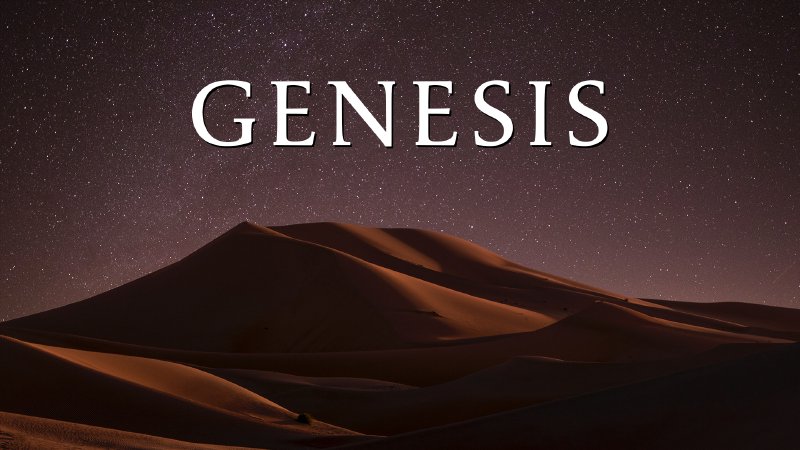 Genesis | Walk Through The Word Ministries