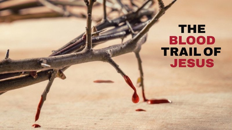 The Blood Trail of Jesus | New Life Church Beeville