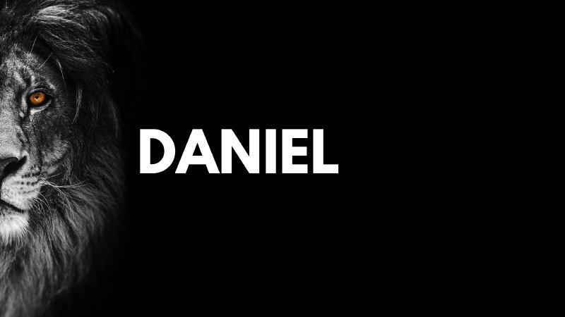 Daniel 5 | Calvary Chapel Palm Harbor