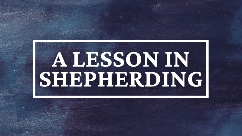 A Lesson In Shepherding | Northside Church - Jackson, TN