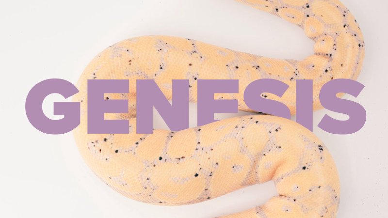 Everything | Interbay North