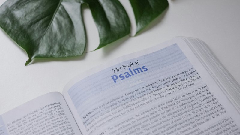 “He who sits in the heavens laughs” - 1/12/25 | Grace Bible Fellowship ...