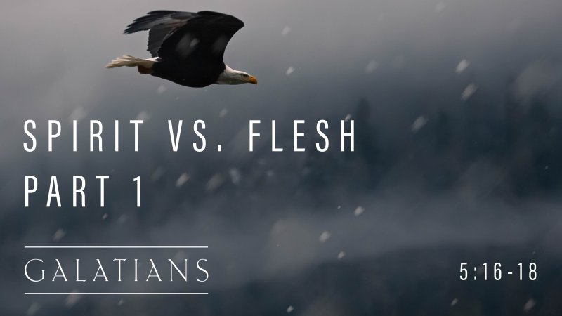 13. Spirit vs. Flesh - Part 1 | Word By Mail