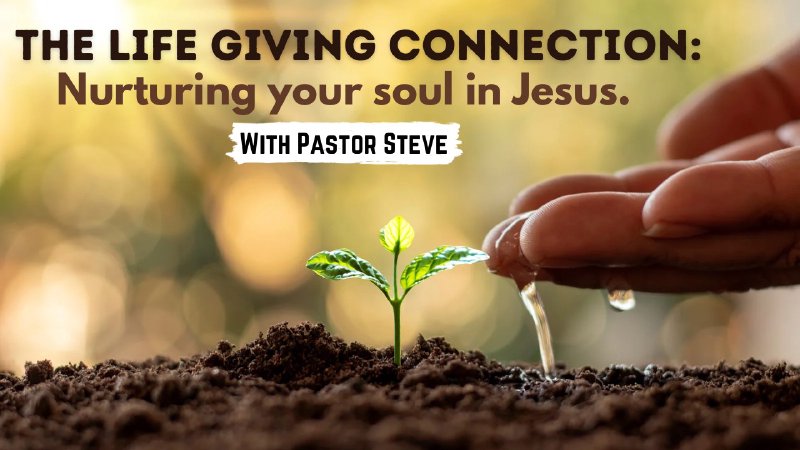 The Life Giving Connection: Nurturing your soul in Jesus | Community ...
