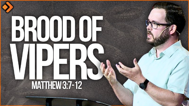 Pharisees, Sadducees, and the Urgency of True Faith: Brood of Vipers ...