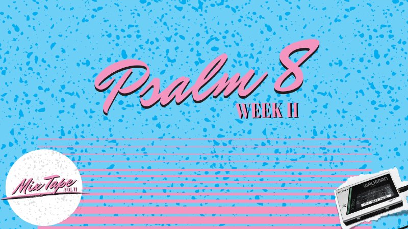 Psalm 8 | First Church