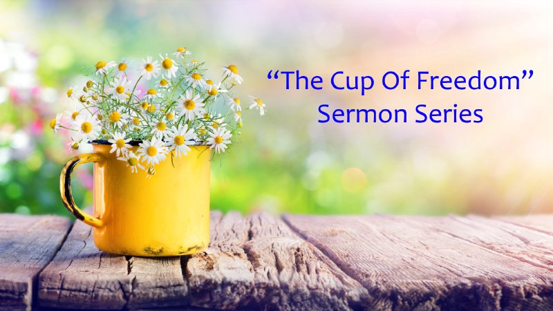 "The Cup of Freedom" Sermon Series | First UMC - Gainesville, FL
