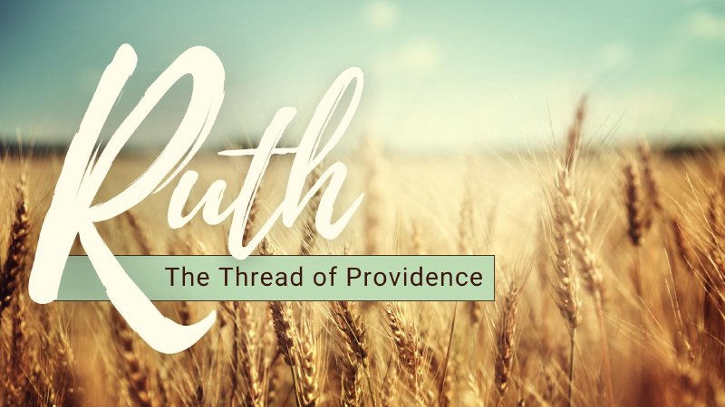 Encouragement from Ruth | Ruth (Part 2) | First Reformed Church, Orange ...