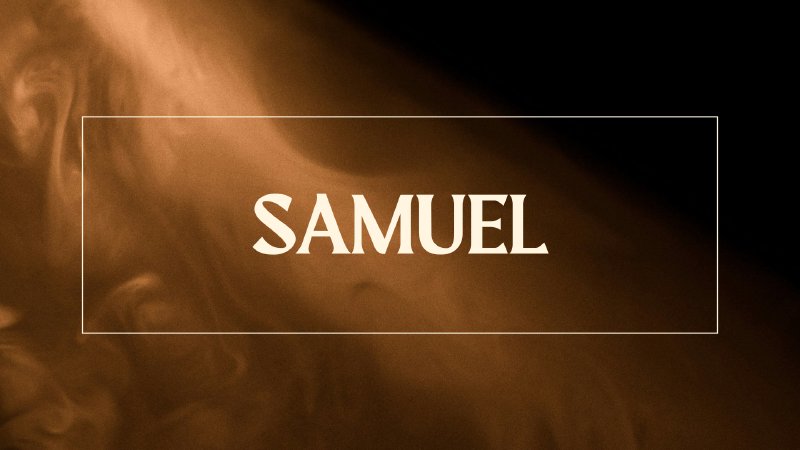 The Single Godly View of David and Goliath; For the Glory of God ...