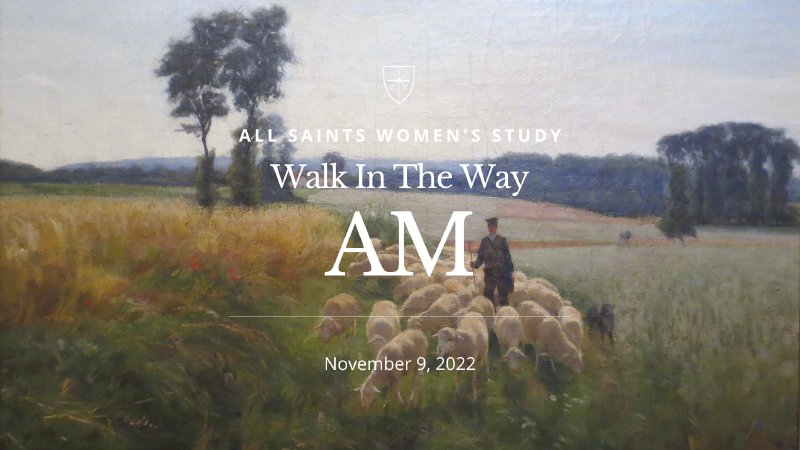 Sheep, Shepherd, Flock (and Bees) | All Saints Austin