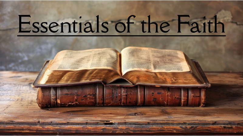 Week 10 - Reproducing Disciples | Cross Family Church