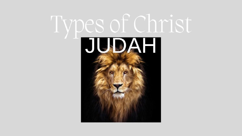 Types of Christ - Judah | Woodbridge Bible Church