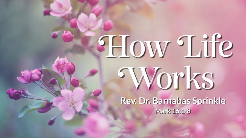 How Life Works | Liberty Corner Presbyterian Church