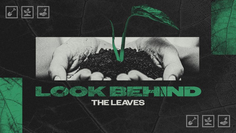 Look Behind the Leaves | RiverTree Lake